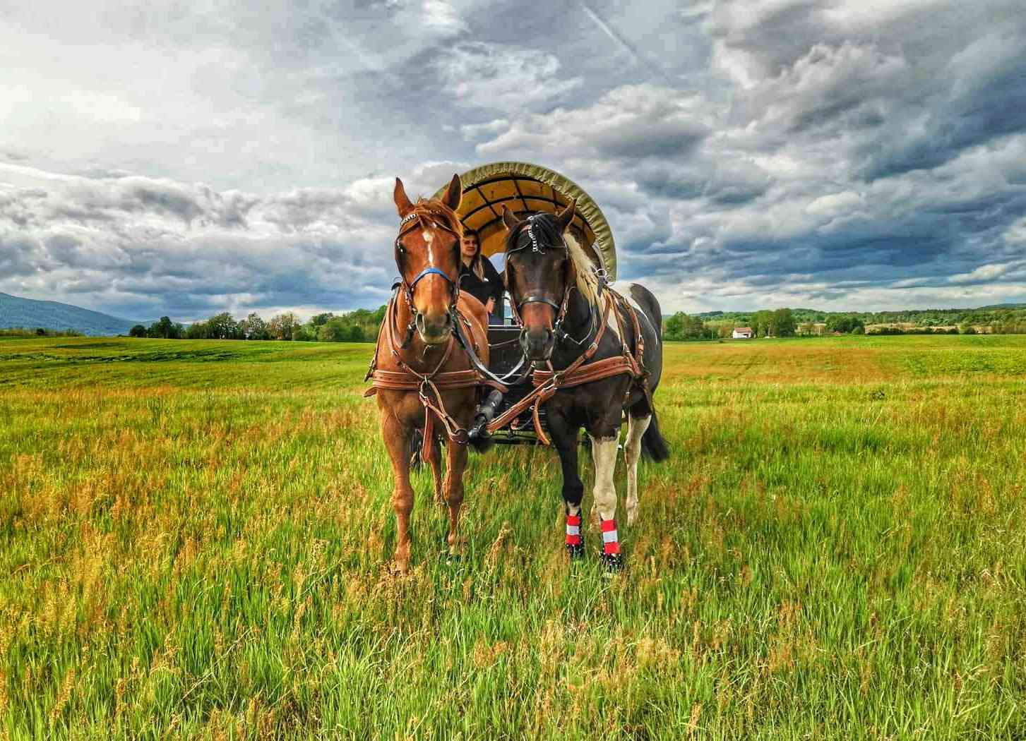 Kamp Plitvice Holiday Resort navdušuje z novim wellnessom